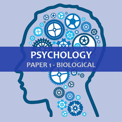 IB Psychology SAQ answers - IB Psychology Past Paper Questions
